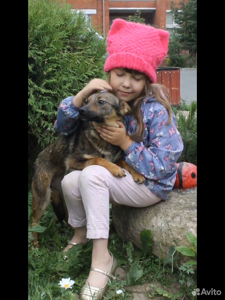 Собачка Люсьена ищет хозяина