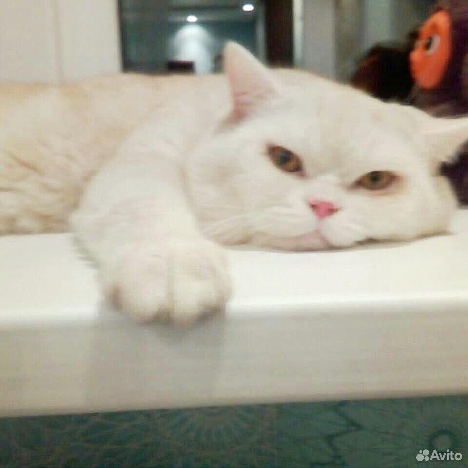 Ждём невесту, вязка