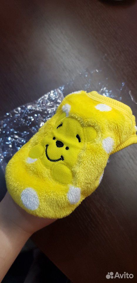 Кофта на той терьера или чихуахуа