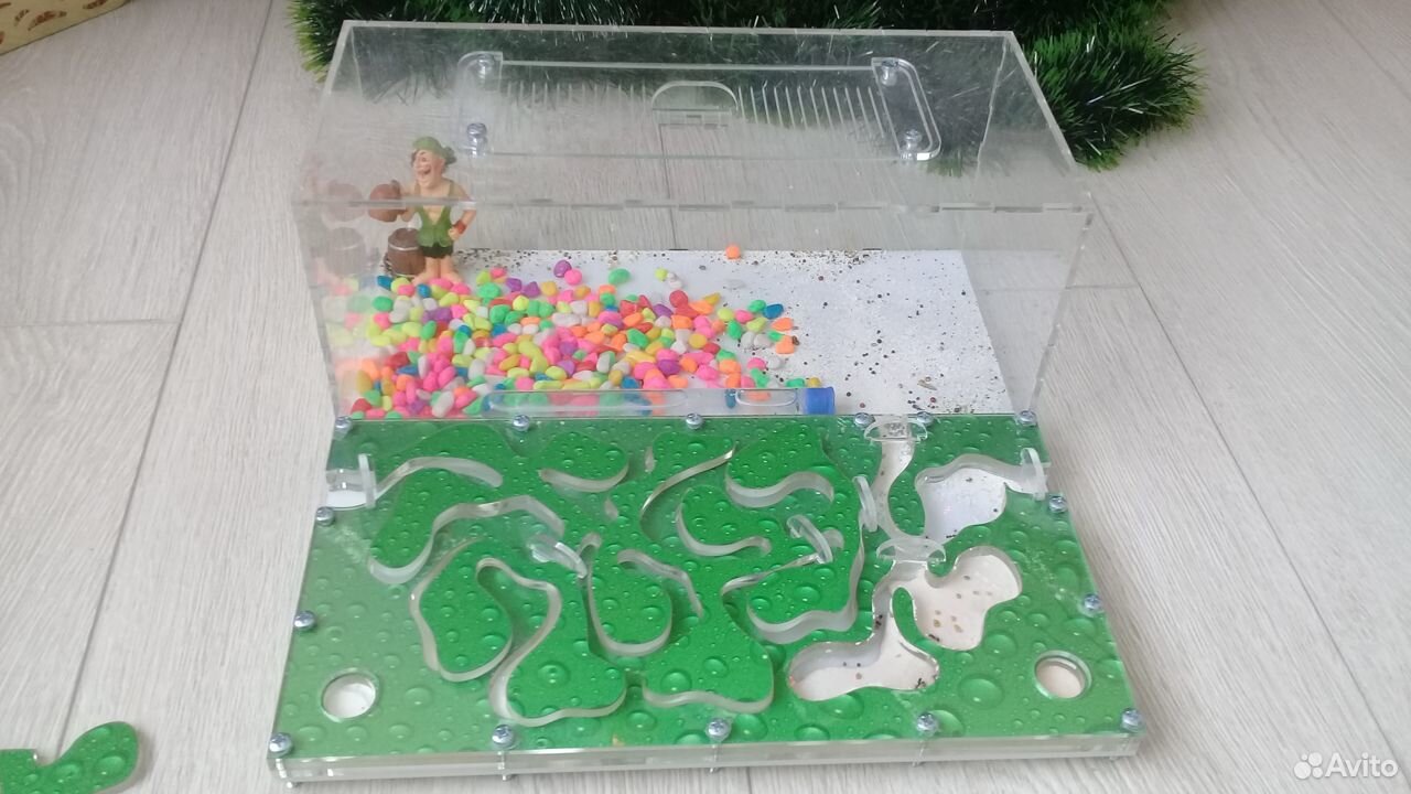 Продам формикарий