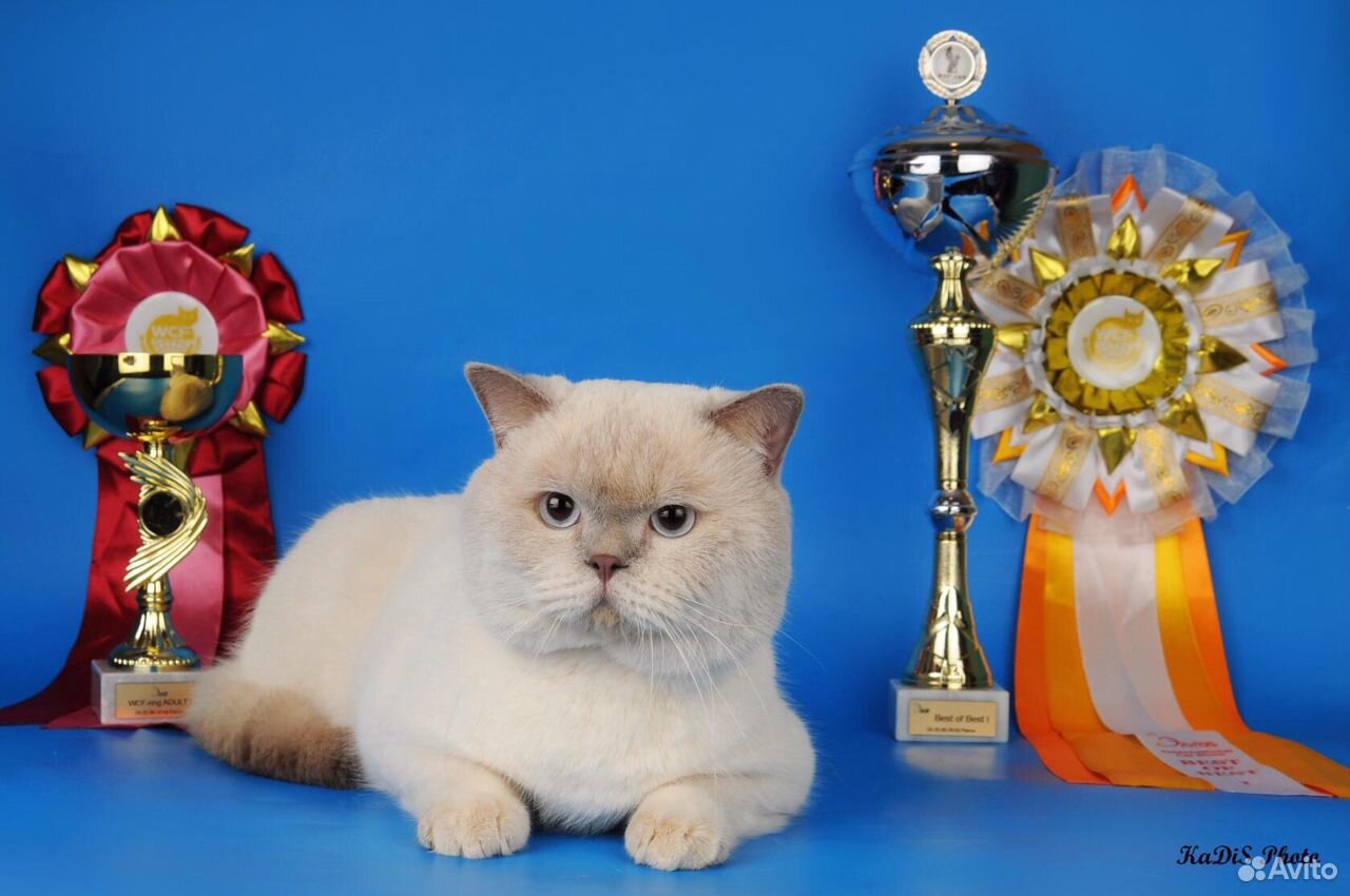 Открыт для вязок