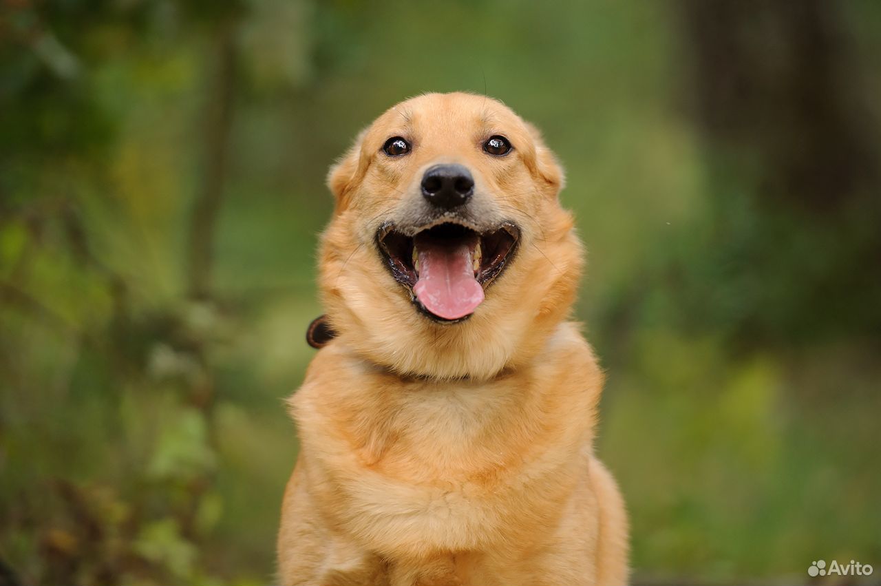 Тимоша. Некрупный мальчик 2 года