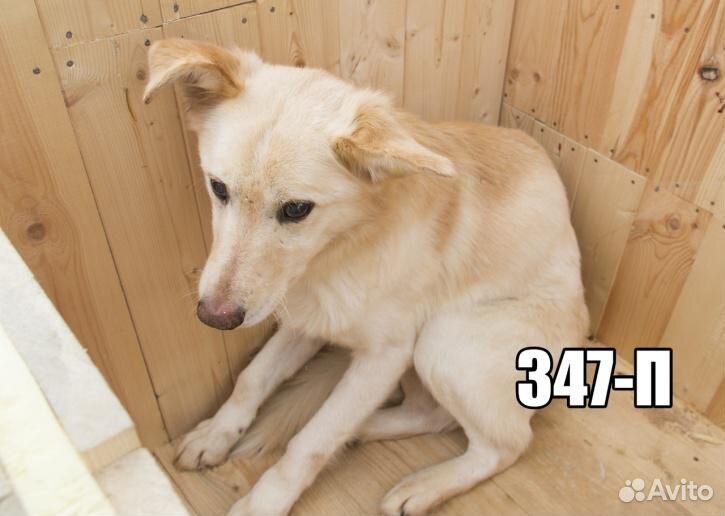 Они ждут именно вас)