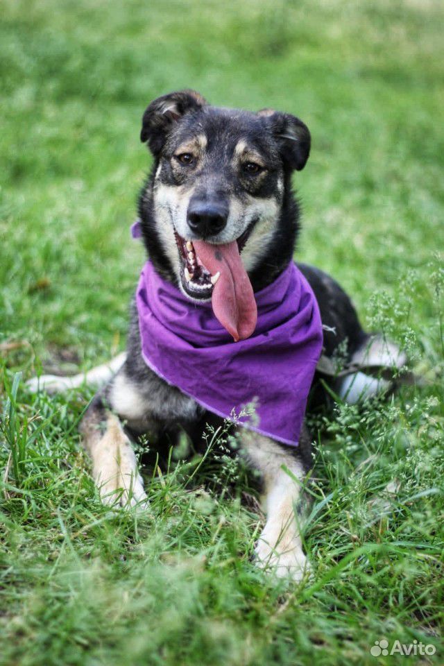 Позитивный Боня ждёт свою семью