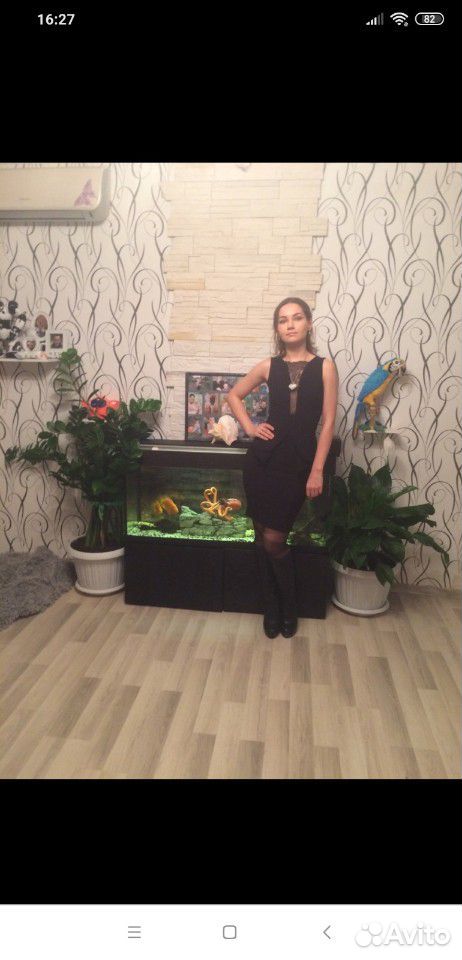Рыба попугай