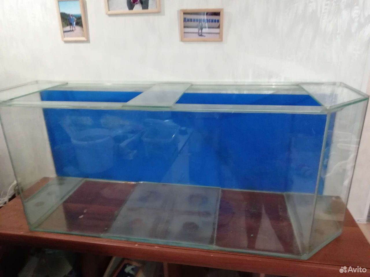 Аквариум