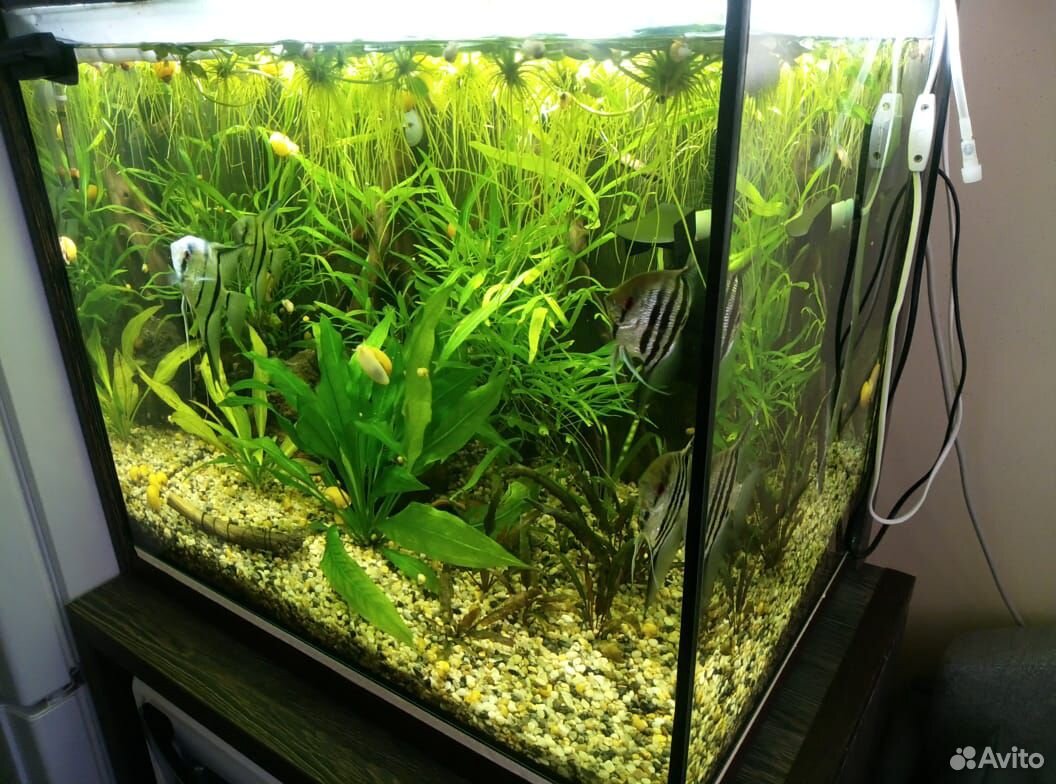 Аквариум 120 л