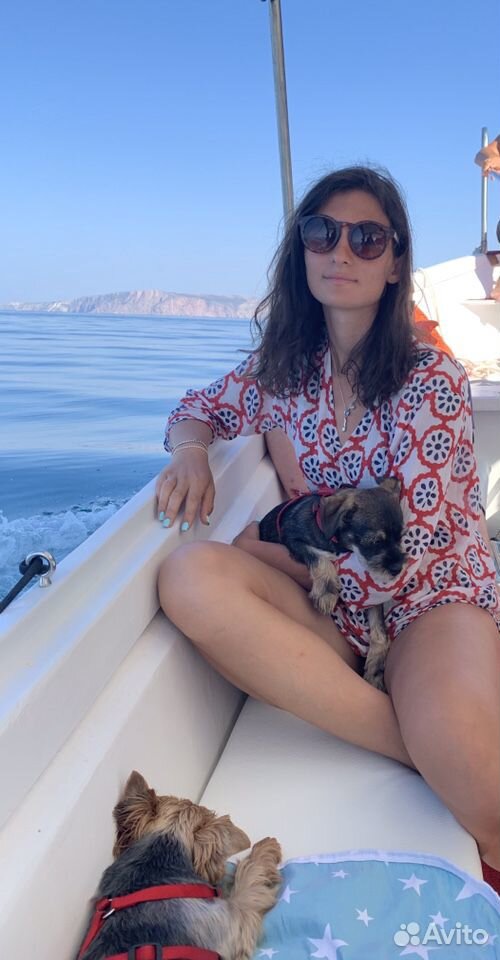 Выгул собак