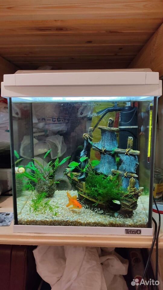 Аквариум Tetra 30л. с содержимым