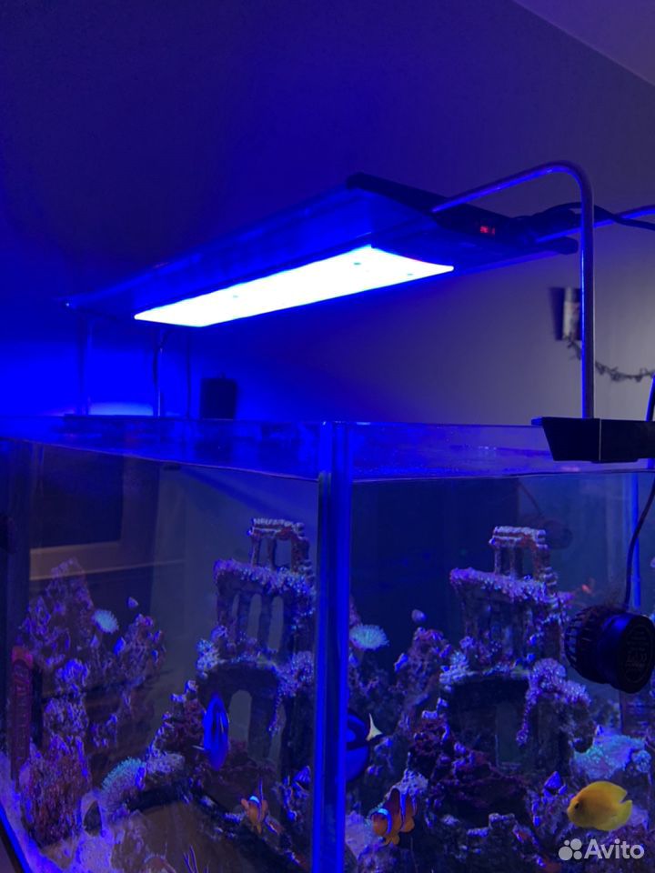 Морской светильник zetlight zt6600