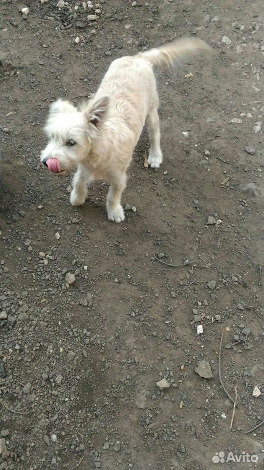 Кошечка хорошечка