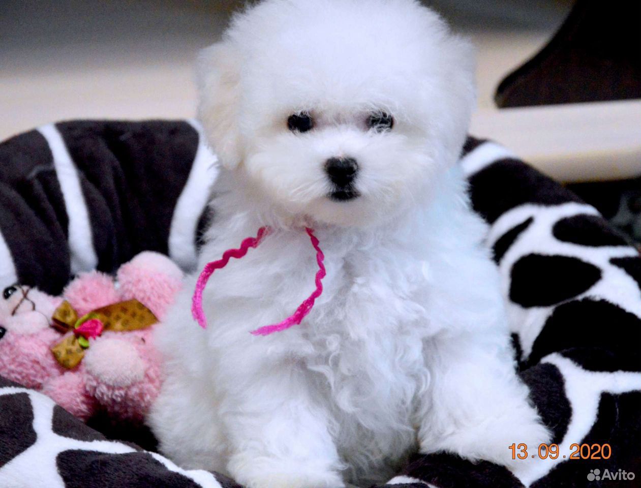 Кукольная крошка РКФ