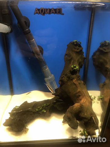 Аквариум с рыбками и филтром