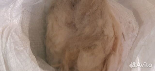 Собачья шерсть кавказской овчарки