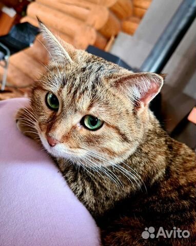 Ищем самые добрые ручки