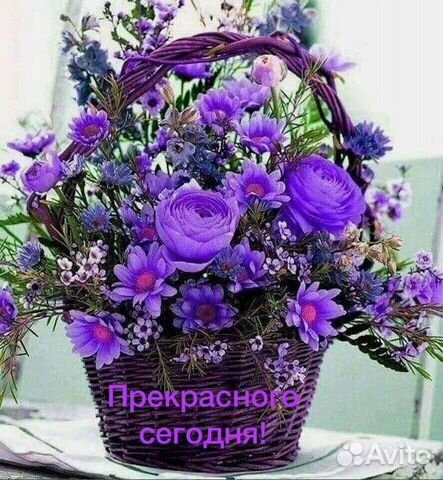 Продажа животного (коровы )