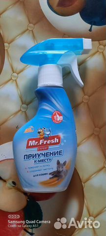 Приучение к месту