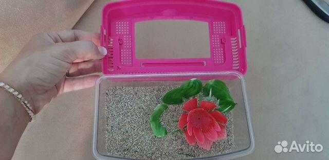 Аквариум-переноска