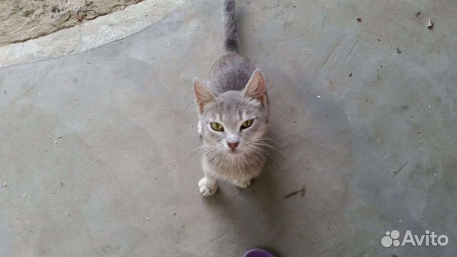 Крик о помощи