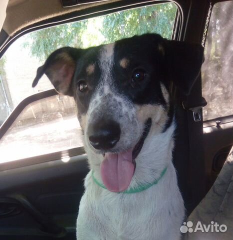 Лорд ждет хозяина