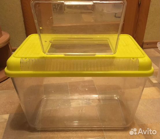 Террариум для улиток