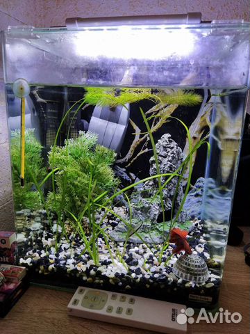 Аквариум нано-куб 35л, оборудование и грунт