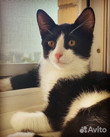 Ракета в добрые руки