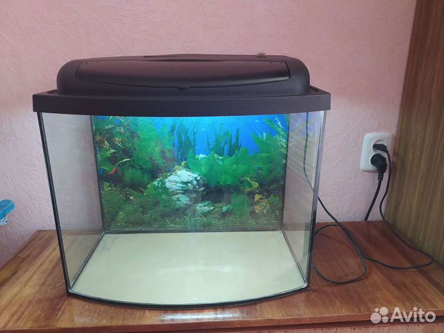 Аквариум