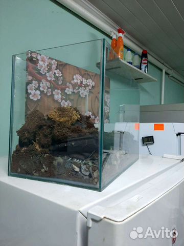 Аквариум