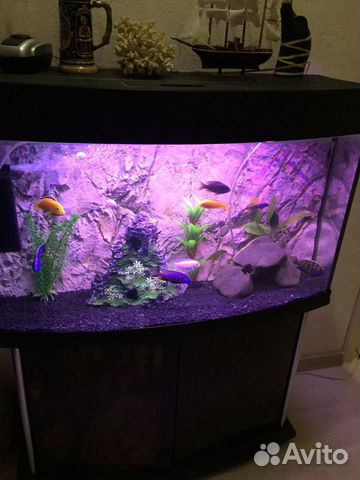 Продаю аквариум