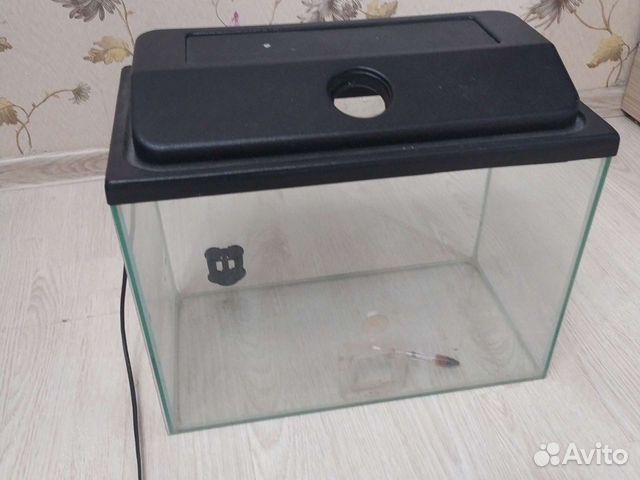 Аквариумные рыбки