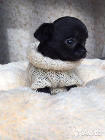 Настоящая леди