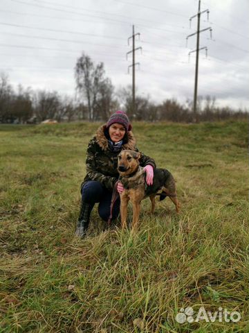 Собака из приюта нуждается в тепле