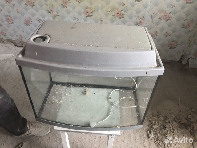 Аквариум
