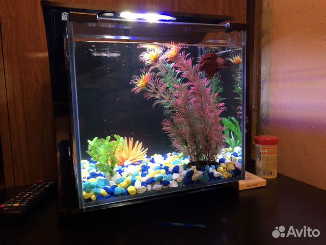 Аквариум 12 л Tetra Silhouette LED Tank