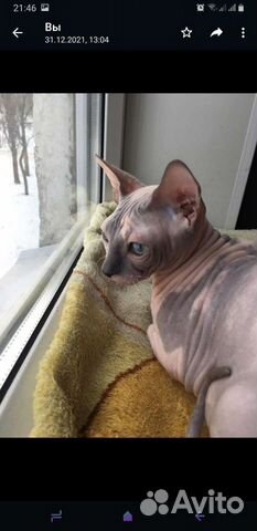 Ищем жениха