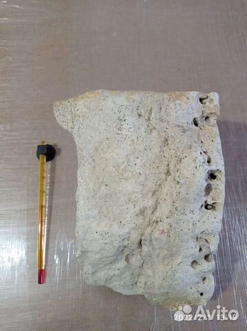 Островок для черепахи и градусник для воды