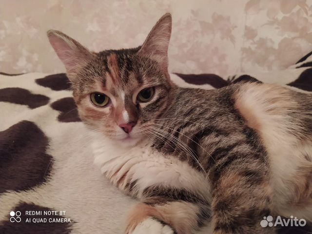 Безмерно ласковая девочка ищет укотовителей