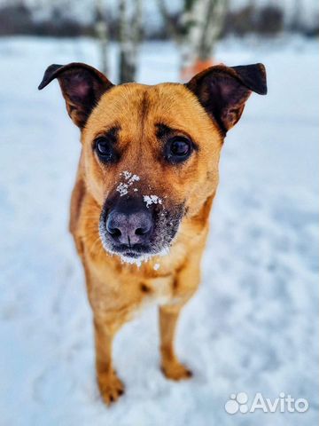 Юлька замерзает в приюте