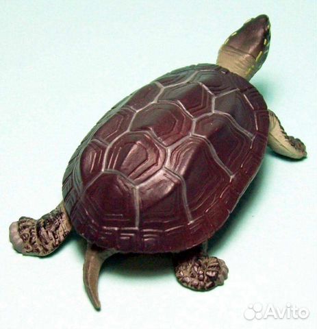 Черепаха водная