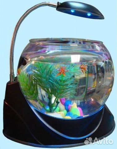 Аквариум