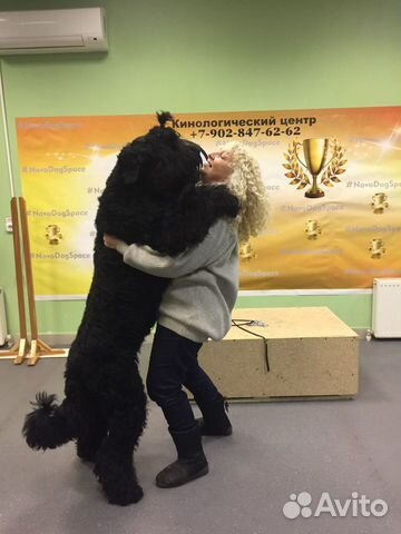 Русский черный терьер щенки