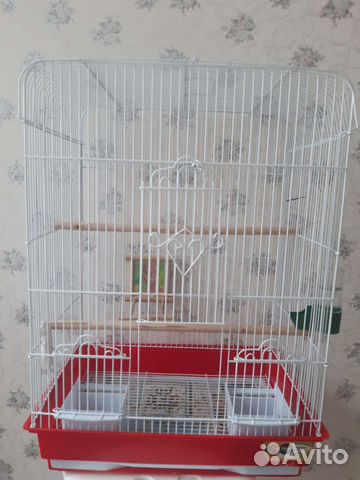Попугай с клеткой