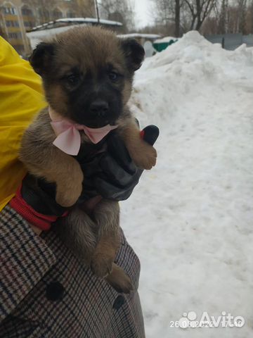 Очень рекомендую самых замечательных детей