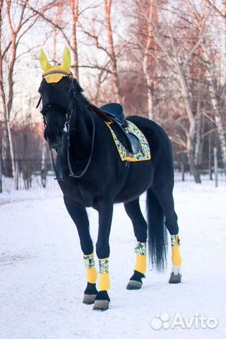 Продам душевную кобылу