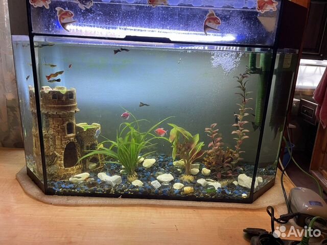 Аквариум