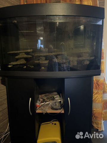 Панорамный Аквариум Juwel Vision 180 литров