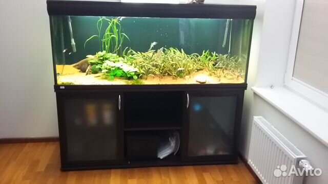 Укомплектованный Аквариум