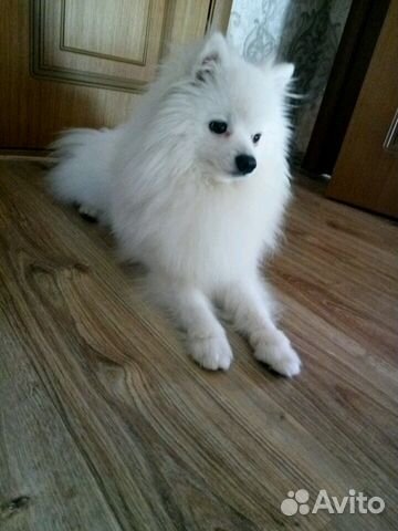 Вязка с блондинистым мальчиком