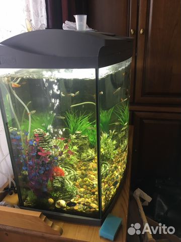 Аквариум